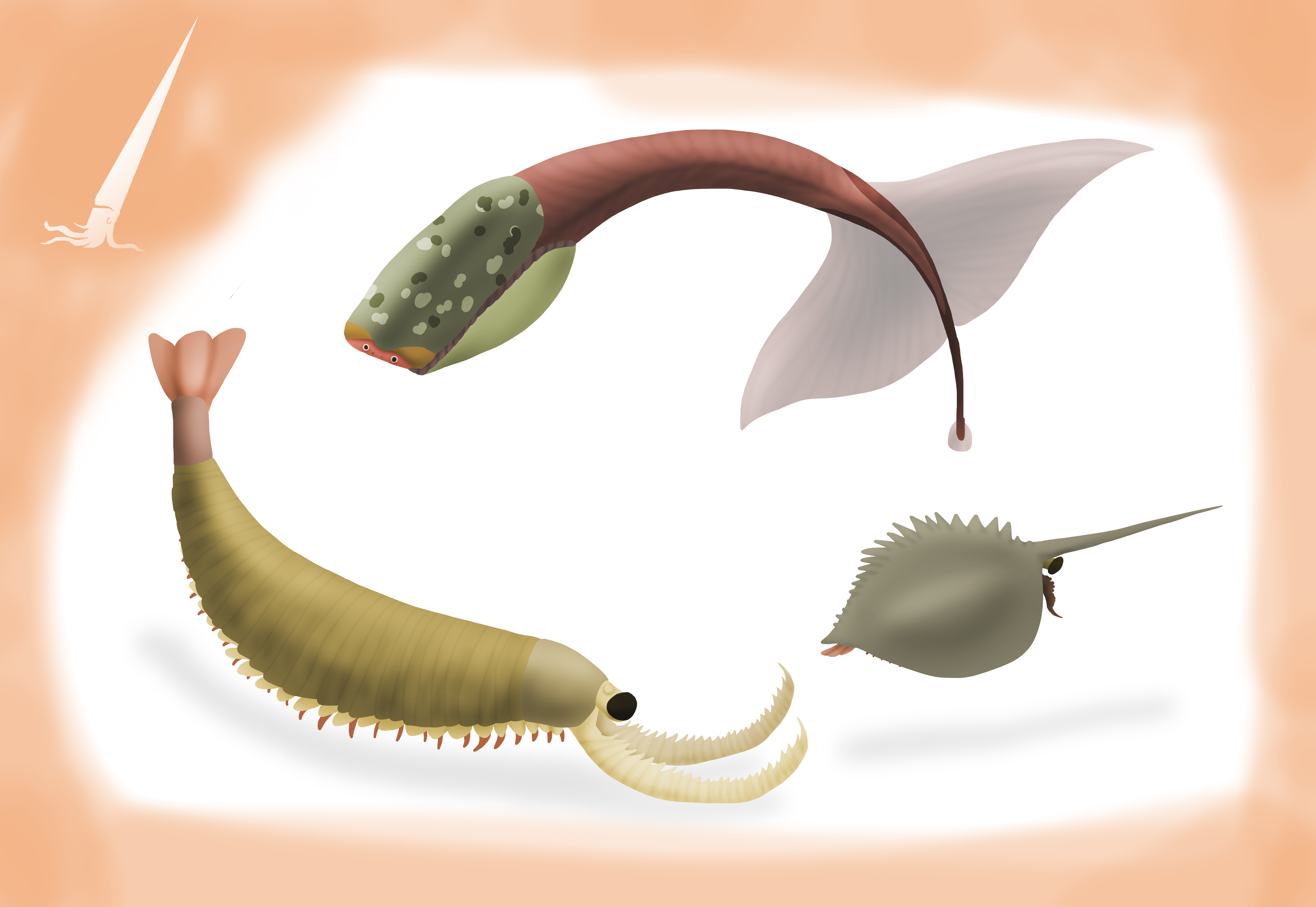 Speculative Evolution -> Alternate Evolution